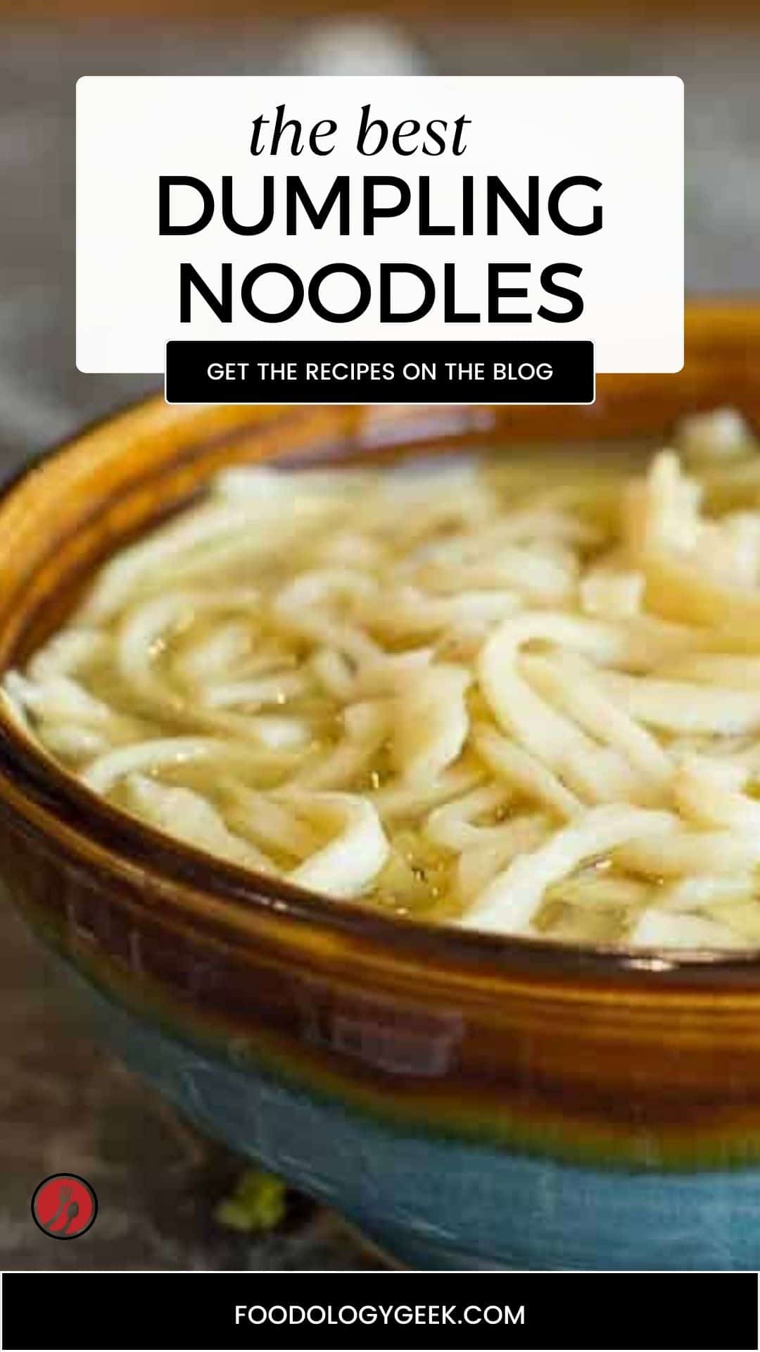 The Best Homemade Dumpling Noodle Recipe |Foodology Geek