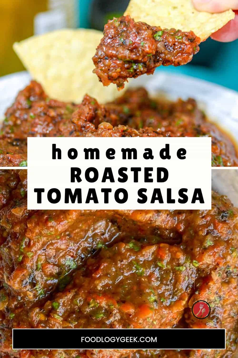 Roasted Tomato Salsa - Foodology Geek