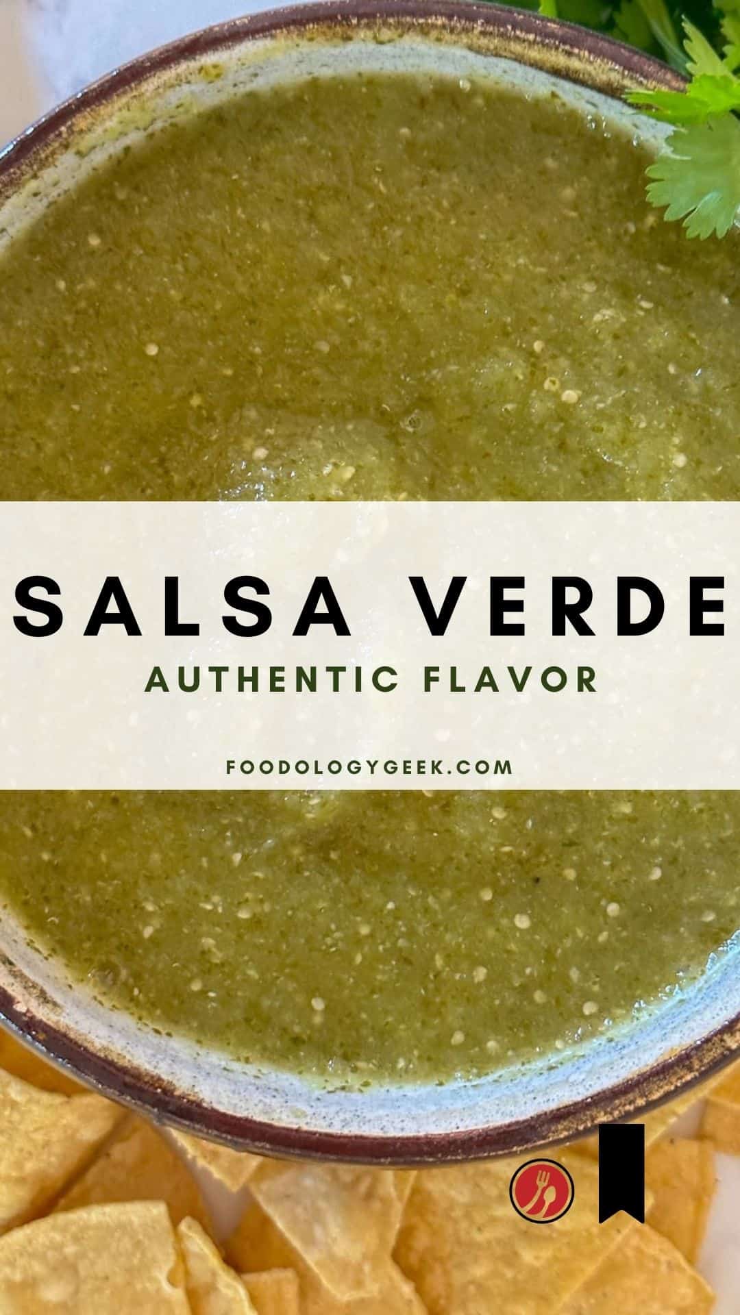 Salsa Verde Mexican Salsa - Foodology Geek