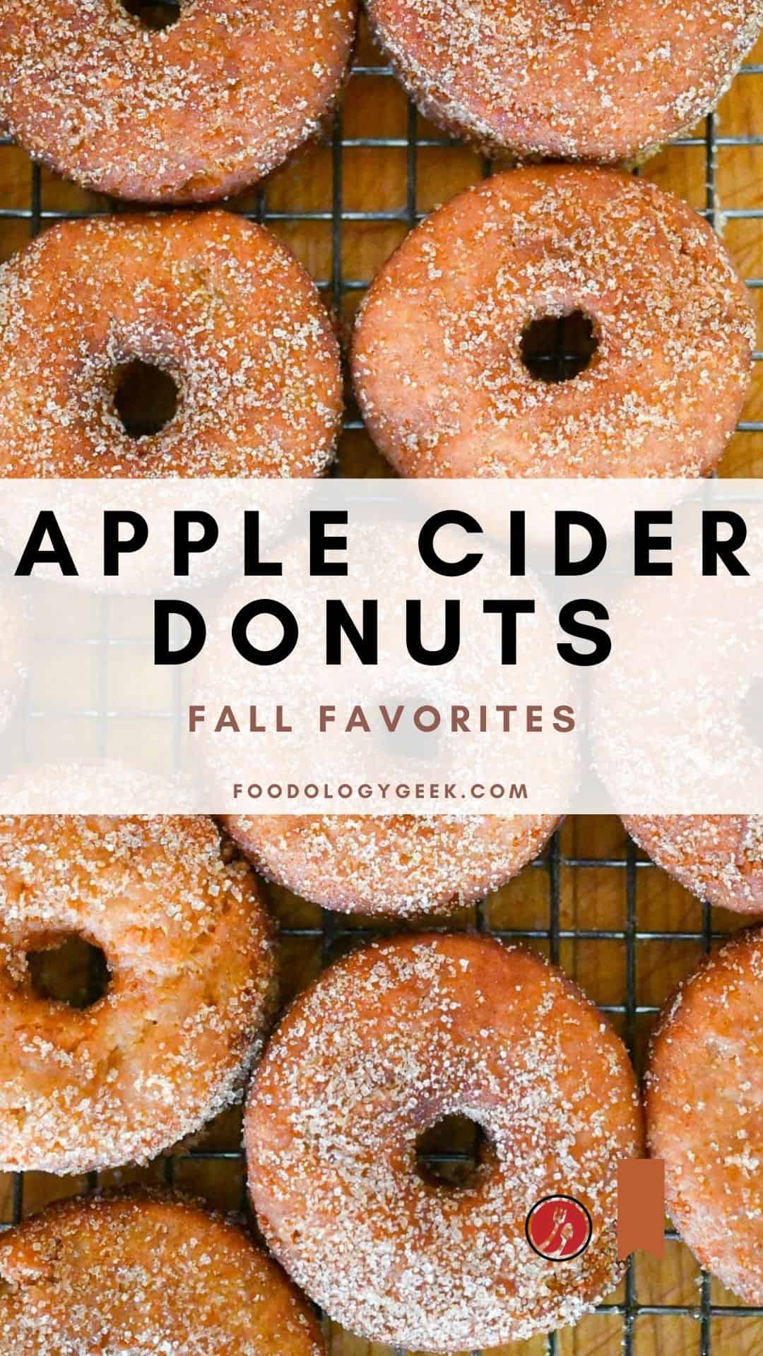 Apple Cider Donuts | Foodology Geek
