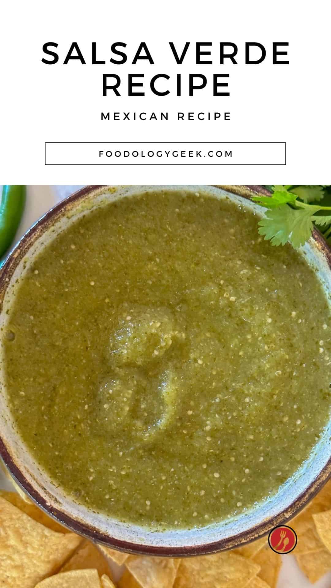 Salsa Verde Mexican Salsa - Foodology Geek