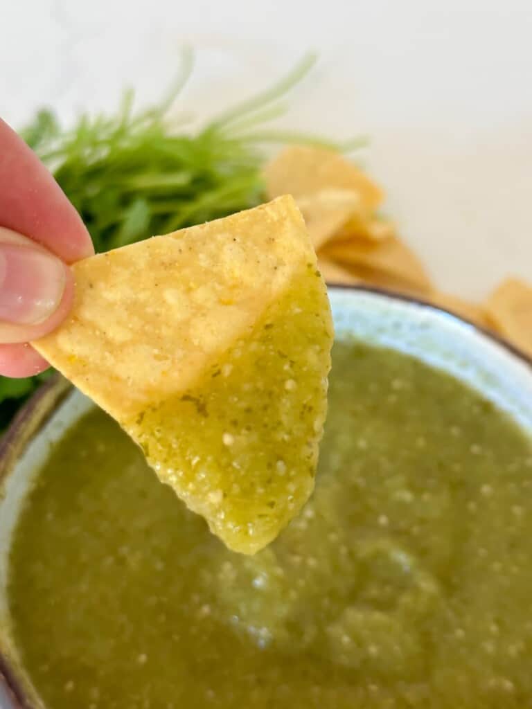 Salsa Verde Mexican Salsa - Foodology Geek
